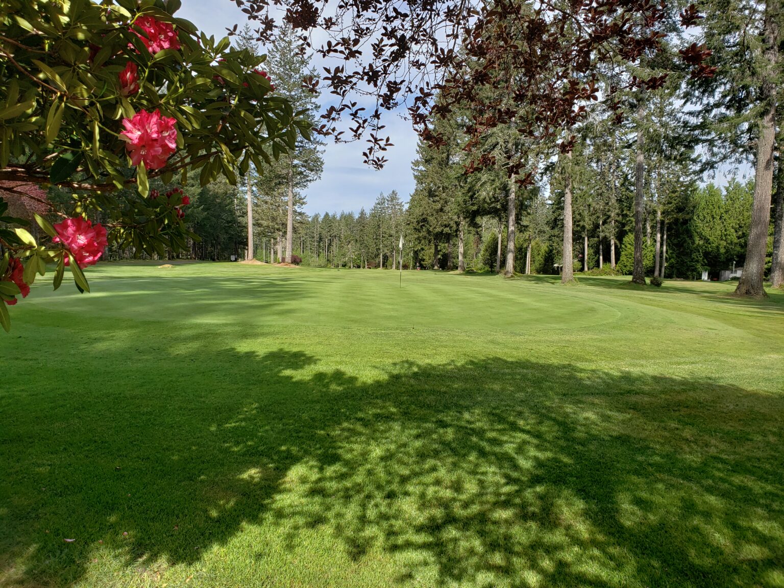 Lake Limerick Golf Club – Lake Limerick Country Club