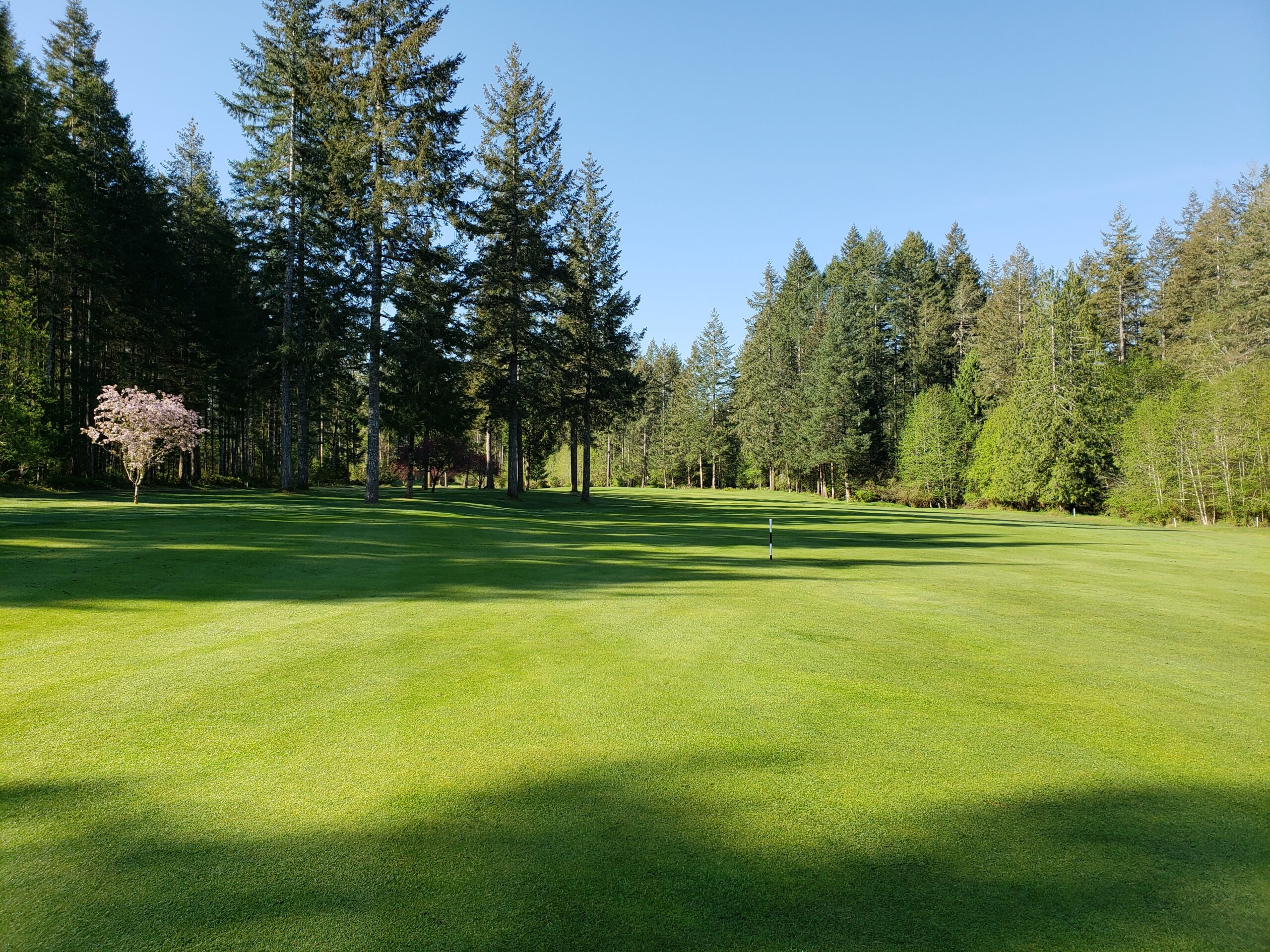 Lake Limerick Country Club – est. 1966